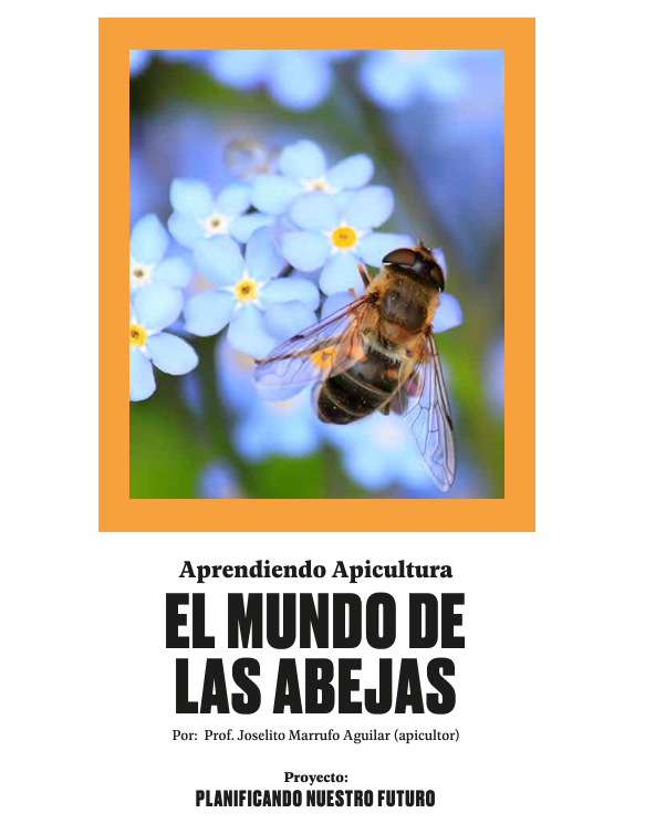 Aprendiendo Apicultura. El mundo de las abejas - Practical Action en ...