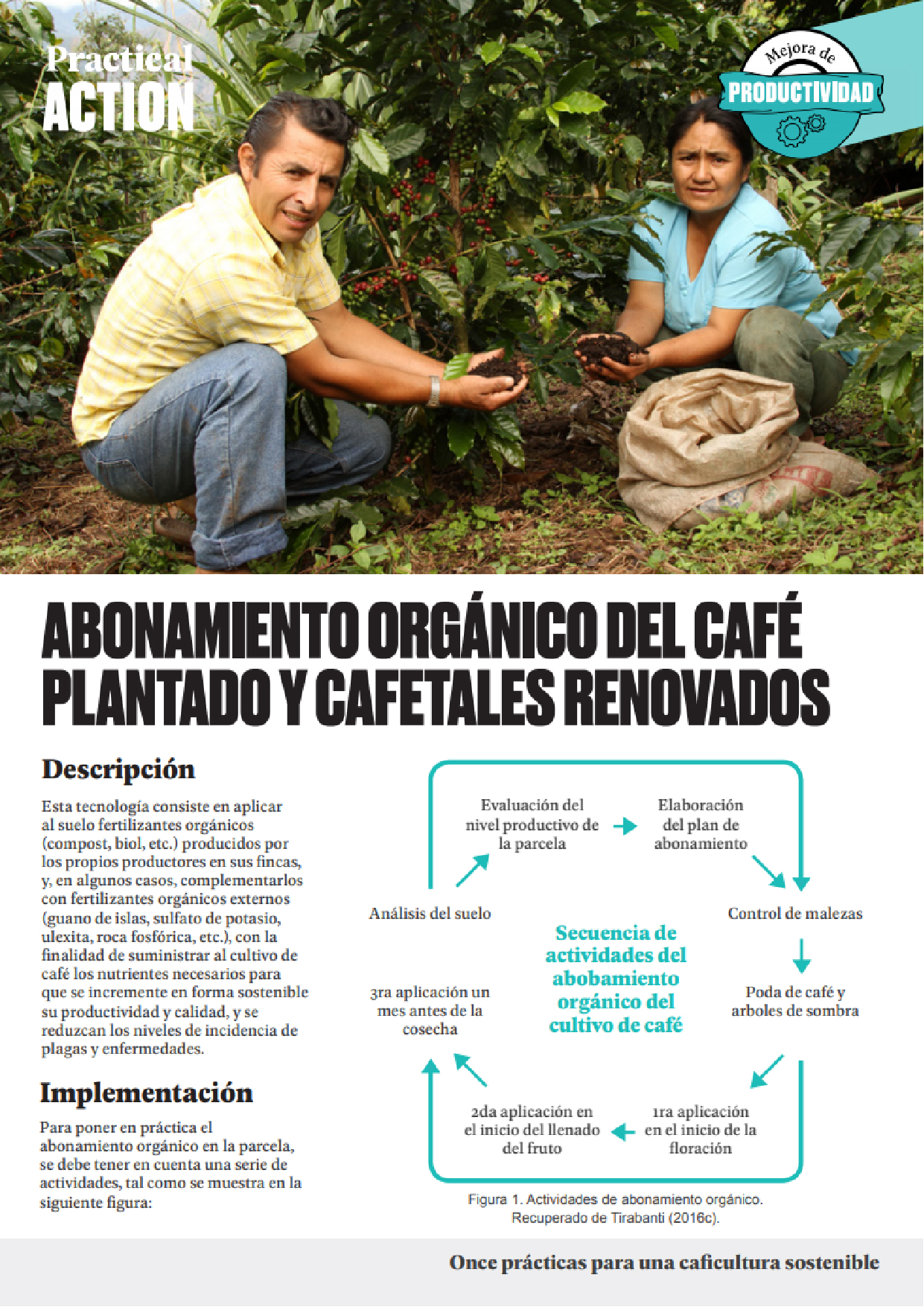 Abonamiento orgánico del café plantado y cafetales renovados - Practical Action en América ...