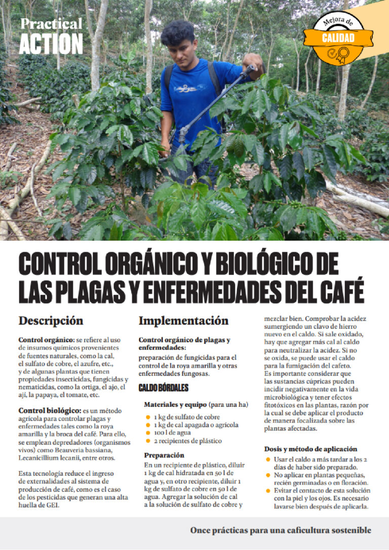 Control orgánico y biológico de las plagas y enfermedades del café ...