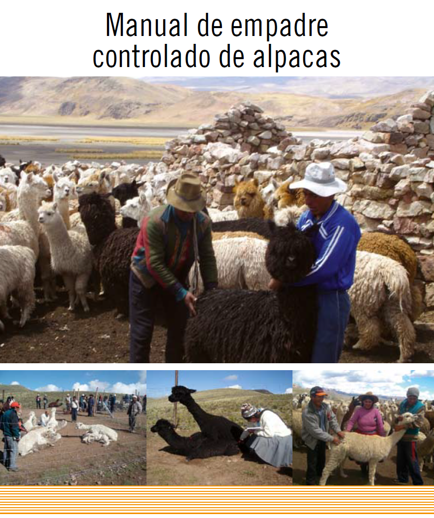 Manual de empadre controlado de alpacas - Practical Action en América ...
