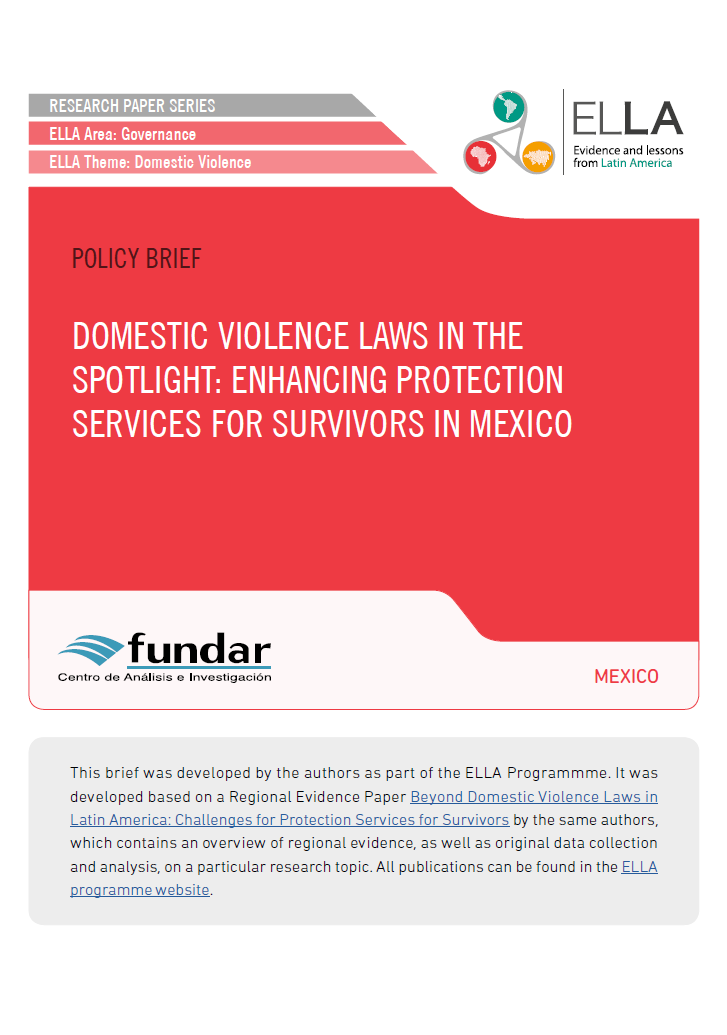 Domestic violence laws in the spotlight: enhancing protection services ...